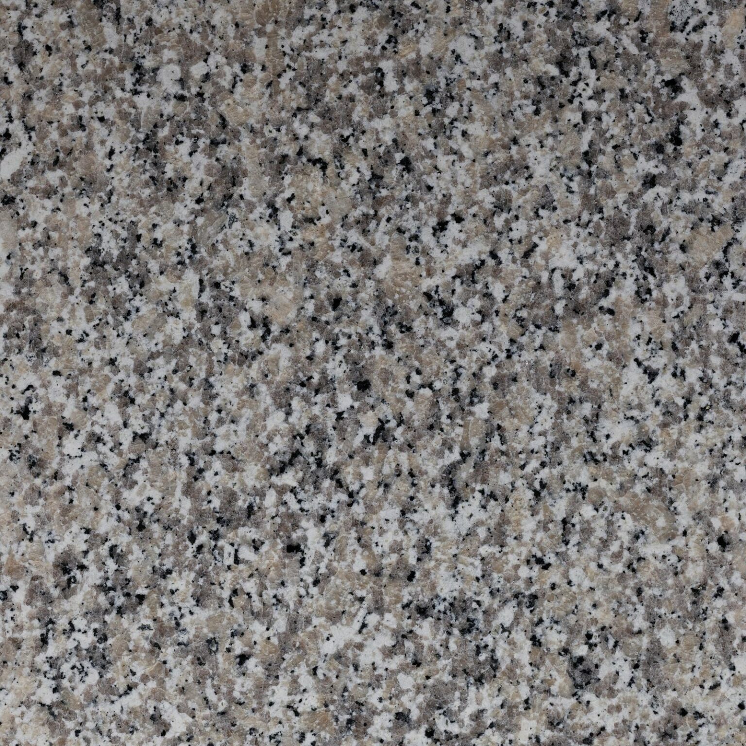 Sample tiles to touch! - Colour of Stone