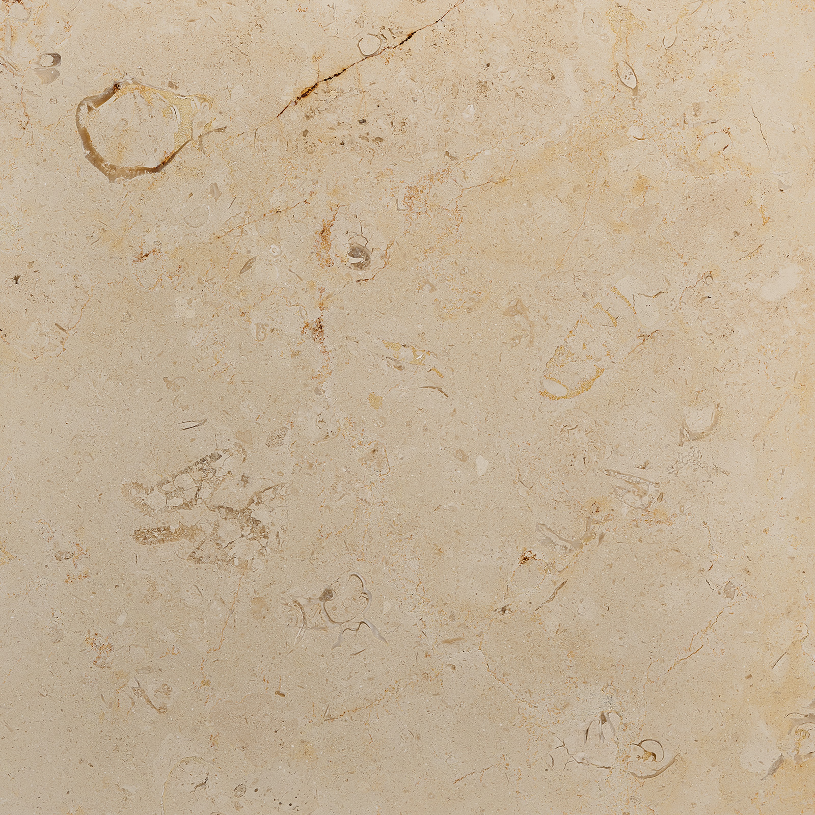 Crema Luna - Limestone Tiles free shipping - Colour of Stone