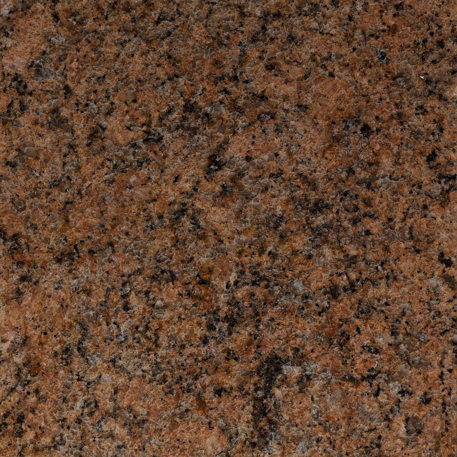 Giallo Veneziano - Orthogneiss Tiles free shipping - Colour of Stone
