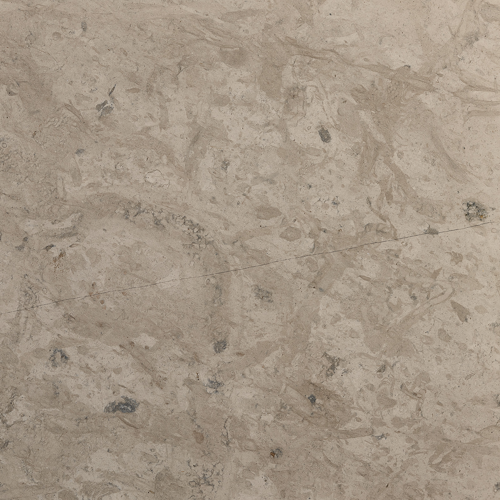 Thala Grey - Limestone Fliesen - Colour of Stone
